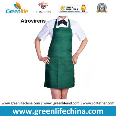 China Atrovirens dark green fashion color advertising cheap good apron with 2pcs front pockets supplier