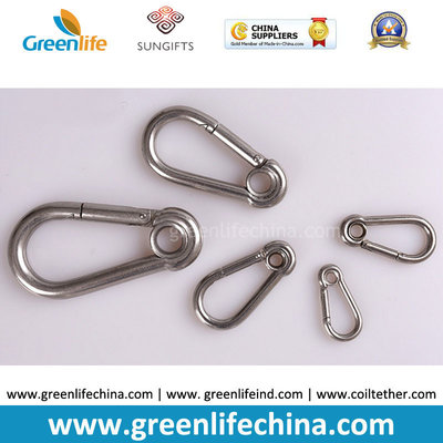 China Stainless Steel Full Sizes Heavy Duty Carabiner with Ring For Tools Attaching supplier