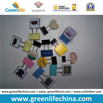 olorful Rectangle Plastic Sheet W/Custom Logo Office Binder Clips supplier