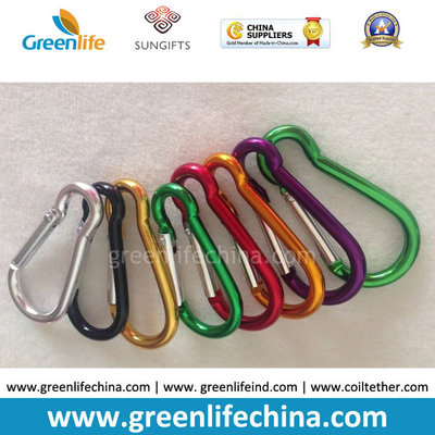 Cheap metal carabiner in various shapes in various colors hot selling standard holder hook supplier